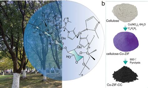 Schematic Structure A And Manufacture Of CelluloseCoZIF Download Scientific Diagram