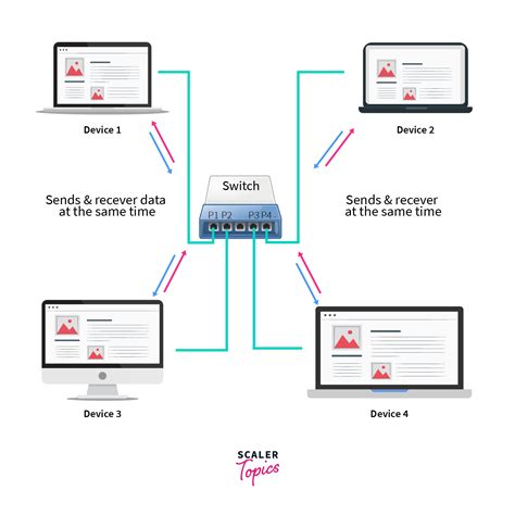 difference between hub and switch scaler topics eu vietnam business