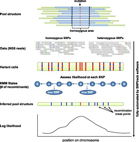 Mutation Mapping And Identification By Whole Genome Sequencing