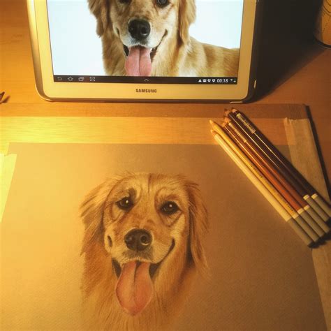 Taboadaart Taboadaart Twitter