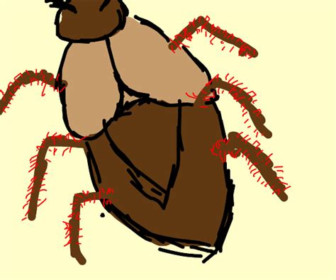 Cockroach Drawception Cockroach Drawception