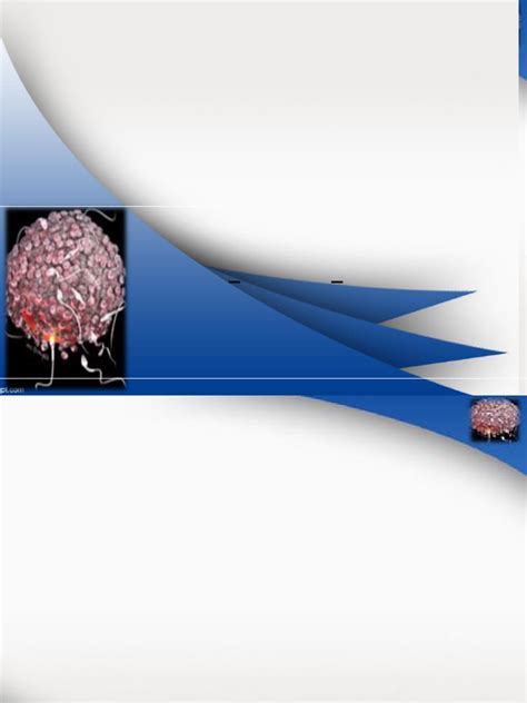 Embryology Bsc M 2021 Pdf Sex Sperm