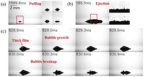 Component Effects In Binary Droplet Impact Behaviors On The Heated