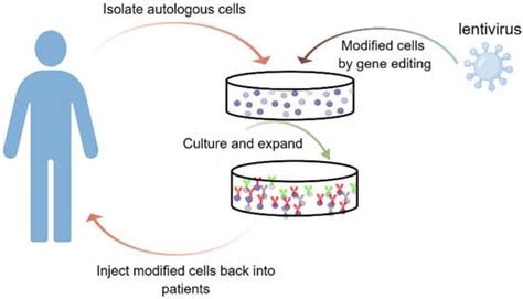 Viral Vector Based Gene Therapy