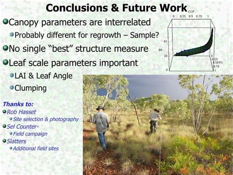 Relationships Between Forest Structure Measurements Ppt Weather