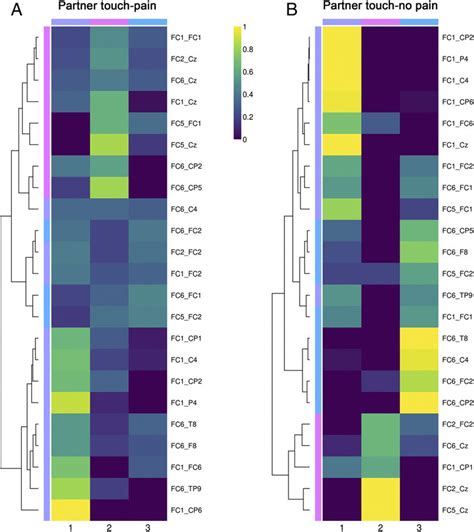 Heatmaps Of The Three Cluster Solution For Significant Interbrain