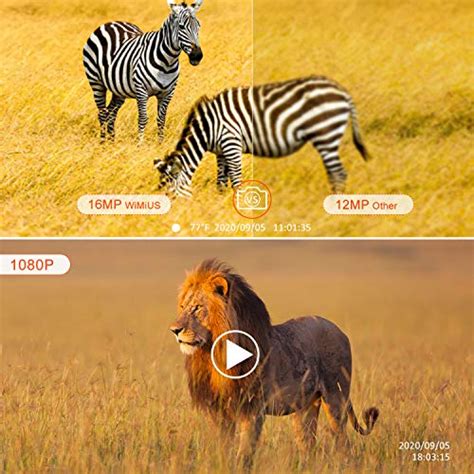 Wimius H7 Trail Camera Review Easy To Set Up Trail Camera