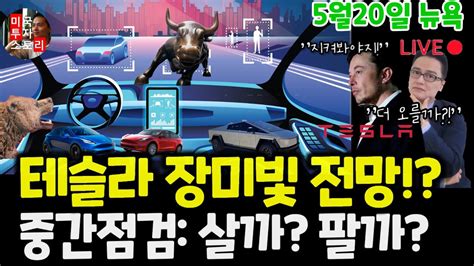 테슬라 장미빛 전망 중간점검 살까 팔까 기관흐름 주당순이익 목표주가 호재와 악재 Fsd 124 중국 대선