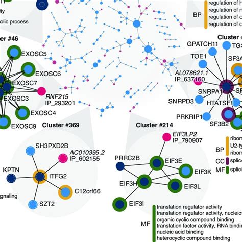protein communities obtained via unsupervised community detection