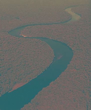 The Congo River