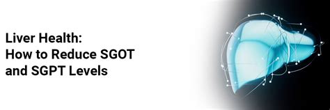 Liver Health How To Reduce Sgot And Sgpt Levels