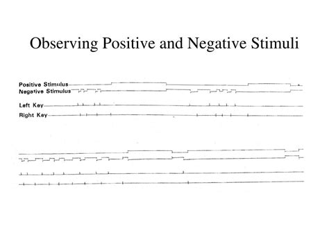 Ppt Basic Stimulus Control Powerpoint Presentation Free Download