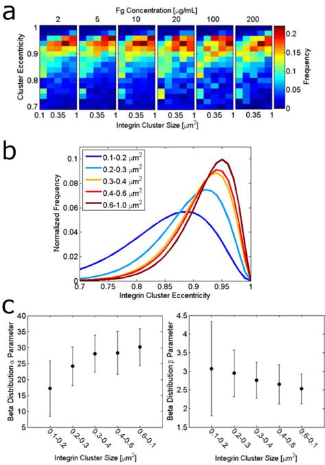 relationship between cluster size and distributions of cluster shapes