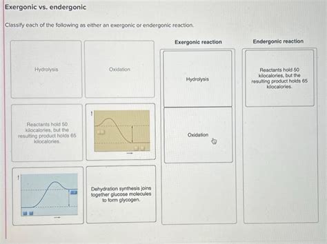 solved classify each of the following as either an exergonic