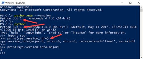 Replicatorg Python Version Focuslasopa