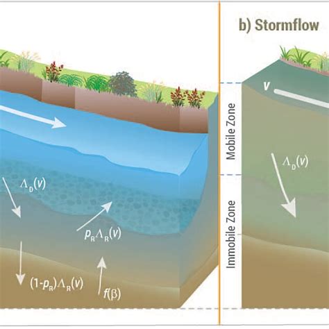 Conceptualization Of The Particle Tracking Model For Transport Download Scientific Diagram