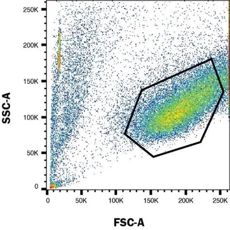 Flowx Human Nk Cell Killing Flow Cytometry Kit Fmc032 Bio Techne