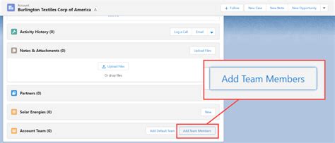 Add Account Team Members In Salesforce
