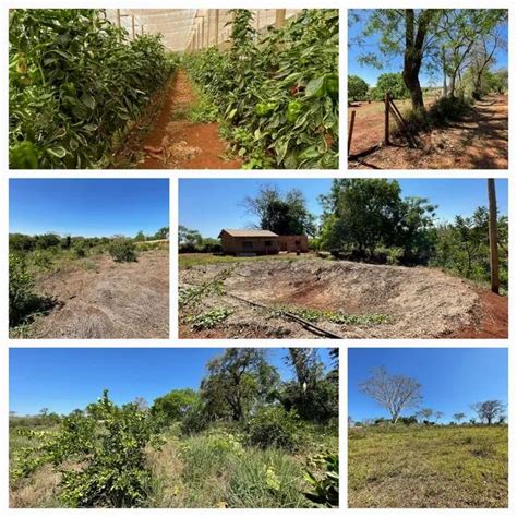 Imóveis Nova Europa Sp Olx