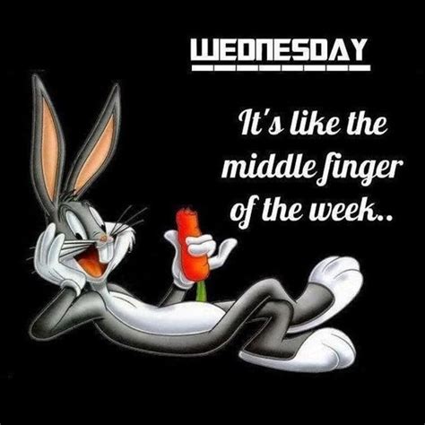 36 Funny Happy Wednesday Memes Artofit
