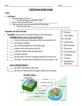 Cells Unit Study Guide Key By Tara Litvin TPT