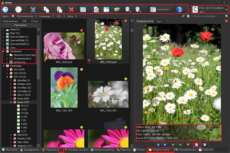 Photo Database Домашняя страница Официальный сайт Организация и шифрование фотографий