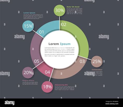 Pie Chart Design Template Business Infographics For Presentations And Reports Vector Eps10
