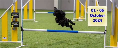 2024 Fci Agility World Championship Facebook