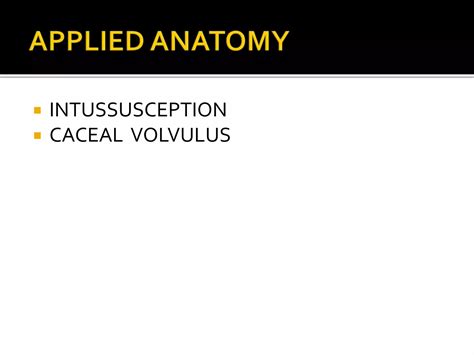 Anatomy Of Caecum And Appendix Pptx