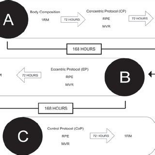 Investigation Outline Download Scientific Diagram
