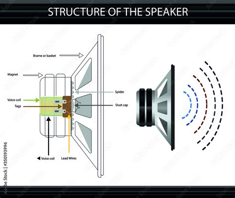 Structure Of The Speaker Speaker And Coil Subject Of Physics Lesson Speaker Speaker System