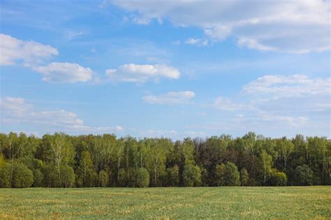 구름과 함께 그린 필드와 푸른 하늘 포레스트 웨이 0명에 대한 스톡 사진 및 기타 이미지 0명 경관 계절 Istock
