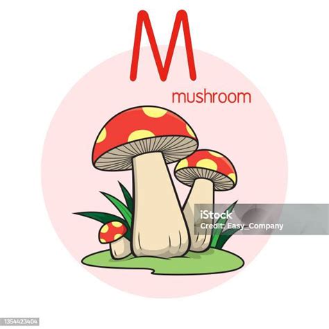 알파벳 문자 M 어퍼 케이스 또는 영어 학습 연습 Abc를위한 대문자 버섯의 벡터 그림 버섯에 대한 스톡 벡터 아트 및 기타