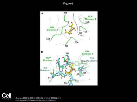 Volume 13 Issue 5 Pages May 2005 Ppt Download