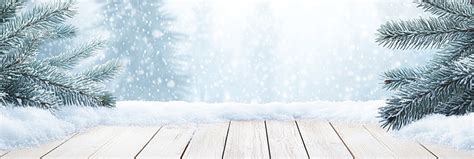 제품 발표 배경 야자 나무 잎 추상적 인 배경 제품 프레젠테이션 배경 일러스트 및 사진 무료 다운로드 Pngtree