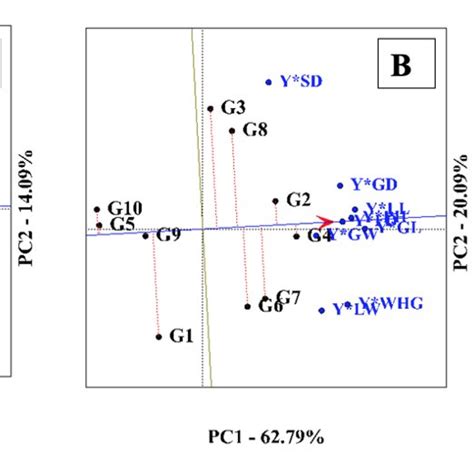 genotype ranking biplot based on overall superiority and strengths and