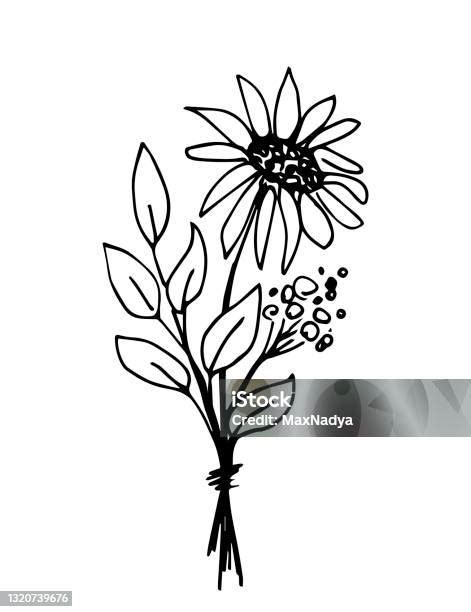 검은 윤곽선으로 손으로 그린 간단한 벡터 드로잉 가을 여름 꽃다발 해바라기 아스터 카모마일 잎이있는 가지 잉크 스케치 검은색에