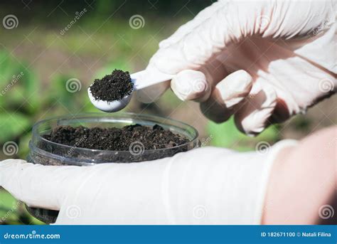 Soil Science Concept Stock Photo Image Of Holding Pedology