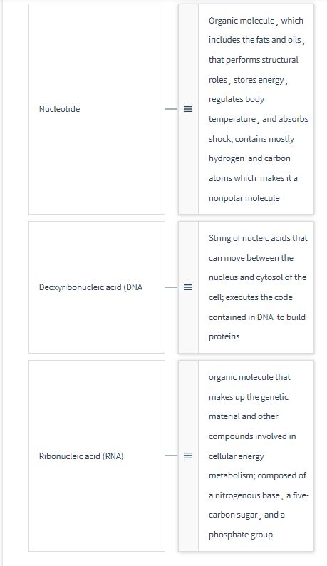[solved] Match Each Term To The Following Definition Drag And Drop Course Hero