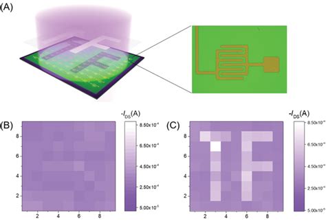 a schematic illustration of the photodetector array and typical device