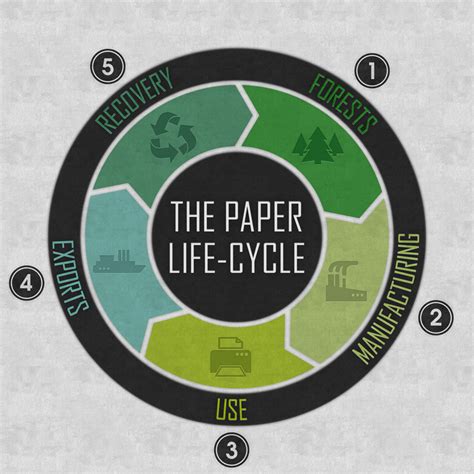 The Paper Life Cycle On Behance
