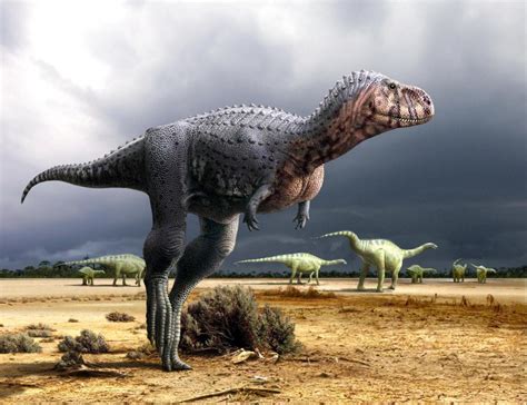 10 Famous Australian Dinosaurs Paleontology World