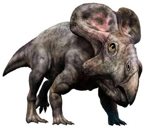 Interesting Facts About Protoceratops
