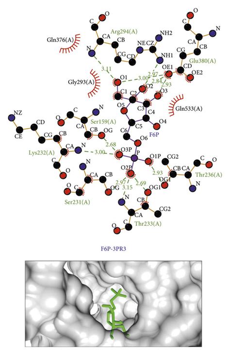 Binding Complex And Interaction Visualization Between Download