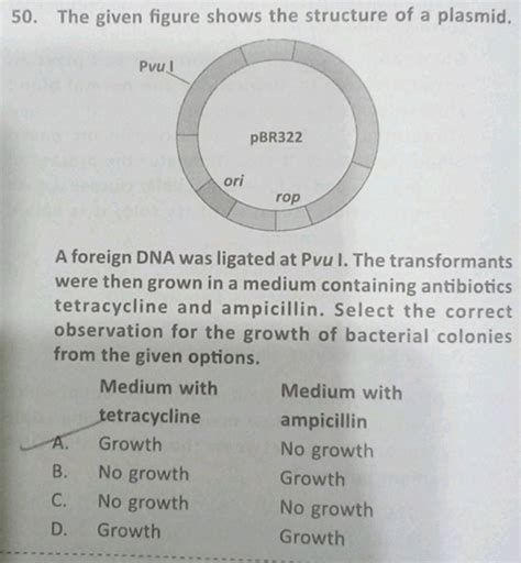 The Given Figure Shows The Structure Of A Plasmid A Foreign Dna Was Liga