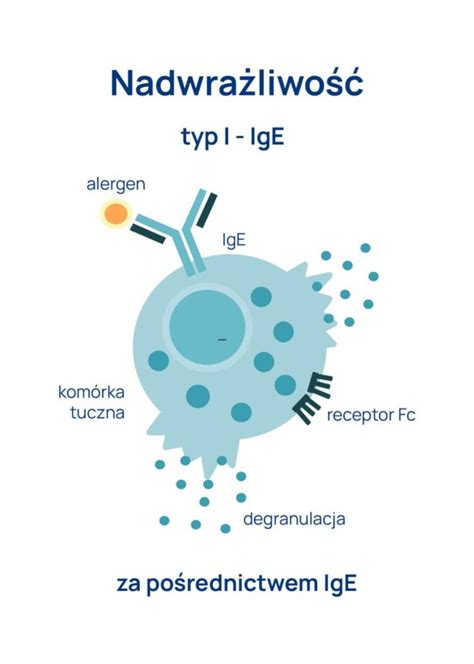 Ige Całkowite O Czym świadczy Wynik I W Jakim Celu Przeprowadza Się Badanie Centrum Wiedzy