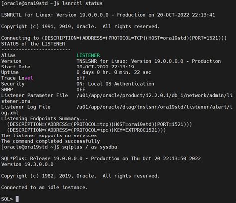 Oracle 19c 一主一备adg搭建 墨天轮