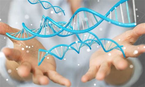 Vacancy Postdoc The Role Of Sex And Gender In The Development Of