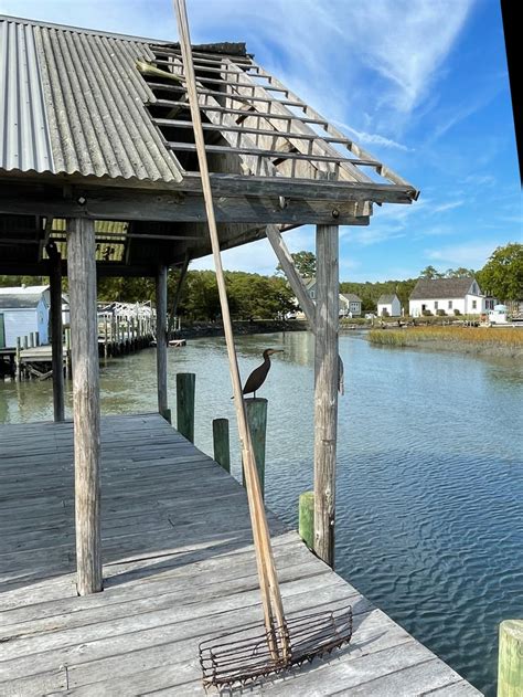 Tonging For Oysters Chesapeake Bay Magazine