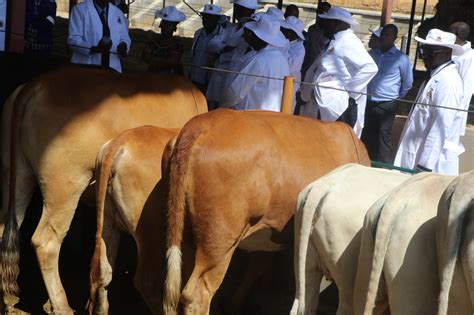 Chinhoyi University Of Chinhoyi University Of Technology